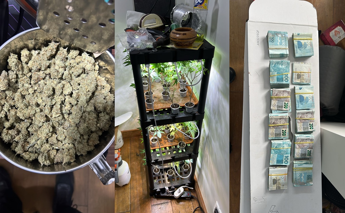 Casal é preso pela PF com estufa de maconha e quase R$ 100 mil